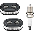 Amazon.com : 593260 798452 Air Filter with Spark Plug Replacement for ...