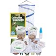 Amazon.com: Live Butterfly Growing Complete Kit - Includes 10 Live ...