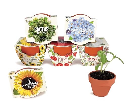 Buzzy Seeds Terracotta Mini Grow Pots | Herb, Plant, Flower Starter Kit ...
