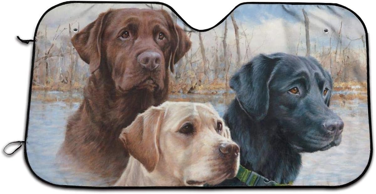 Amazon.com: FUNMAX Labrador Dog Lab Yellow Chocolate Windshield Sun ...
