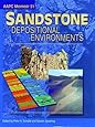 Sandstone Depositional Environments (AAPG Memoir): Peter A. Scholle ...