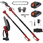 Amazon.com: 2-in-1 Cordless Pole Saw & Mini Chainsaw with 2 Batteries for Tree Trimming Blue ...