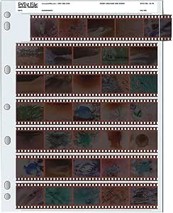 Amazon.com : Archival 35mm Size Negative Pages Holds Seven Strips of ...