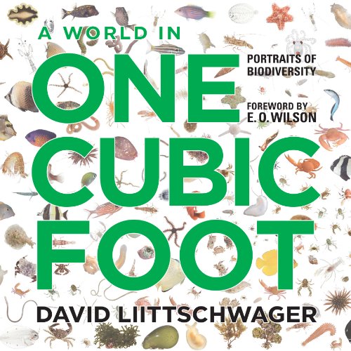 Amazon.com: A World in One Cubic Foot: Portraits of Biodiversity ...
