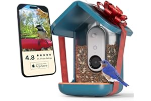 Amazon.com Most Wished For: Items customers added to Wish Lists and ...