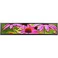 Amazon.com: VSDISPLAY 24 Inch 1920x360 IPS Stretched Wide Bar Display ...