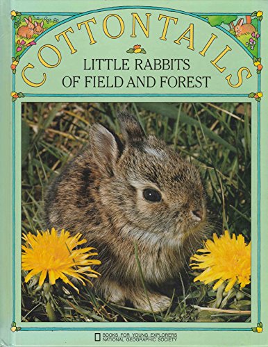 Cottontails Little Rabbits of Field and Forest: Books - Amazon.ca