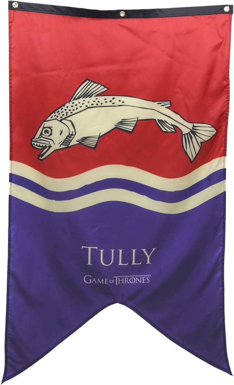 Amazon.com: Game of Thrones House Tully Banner: Kitchen & Dining