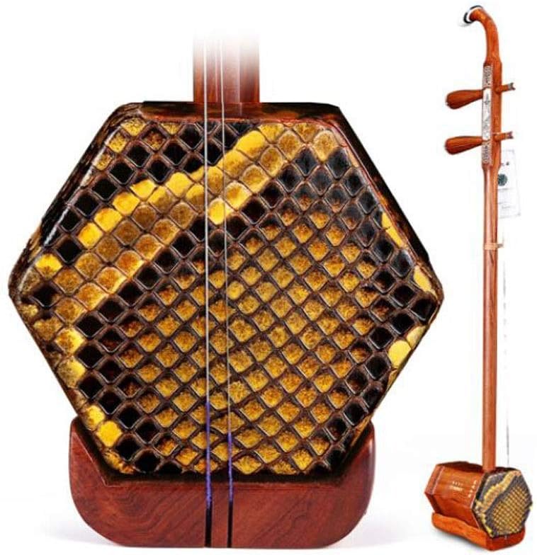 Erhu Instrumento Musical, Rosewood Erhu, Niños Adultos for niños ...