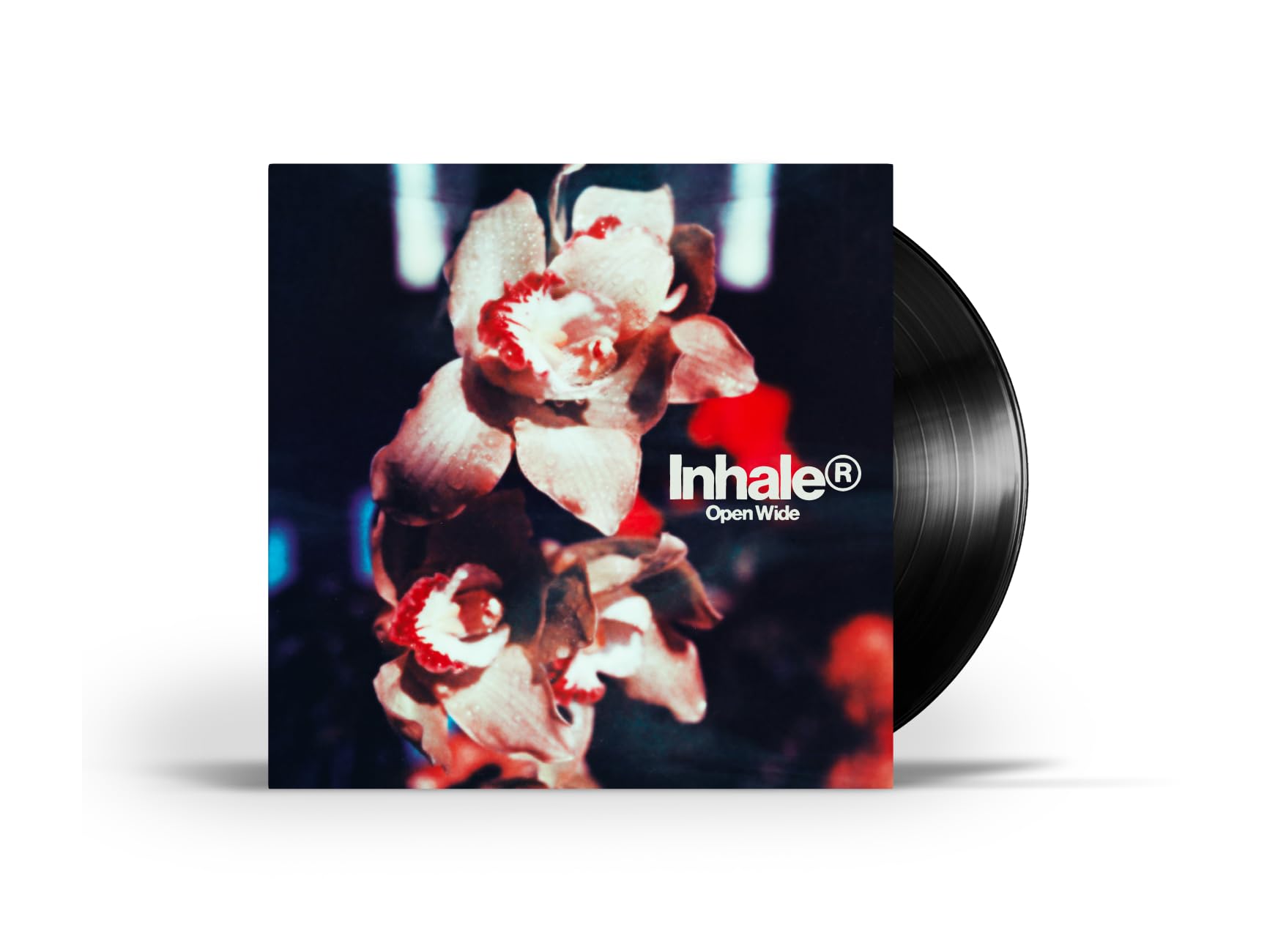 Mua Open Wide [12 inch Analog] trên Amazon Nhật chính hãng 2024 | Fado
