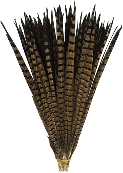 Amazon.de: Vejaoo Fasanenfedern 100 STK 35-40cm Fasan Feder Fasan ...