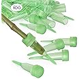 Amazon.com: Floral Water Tubes/Vials for Flower Arrangements by Royal ...