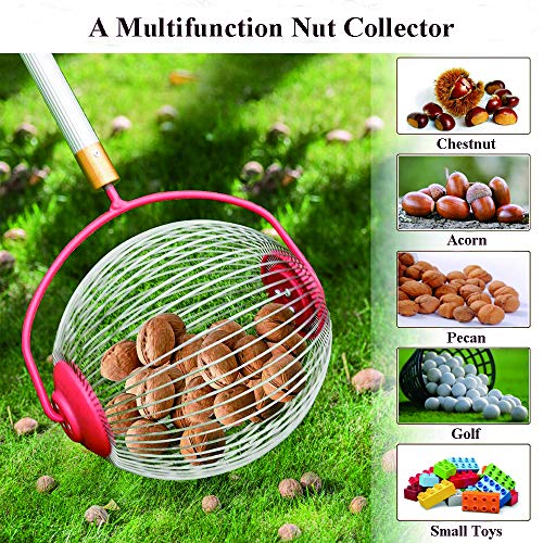 C-CHAIN Medium Nut Gatherer, Rolling Nut Harvester Ball Picker ...