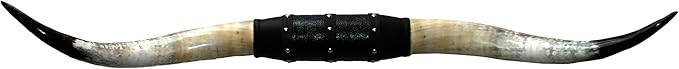 Amazon.com: Mounted Longhorn Steer Horns, 44-54 inch Span, Polished ...