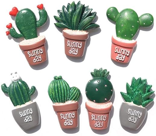 Cactus Magnets Refrigerator Magnet Fridge Magnet Cactus Kitchen Magnets ...