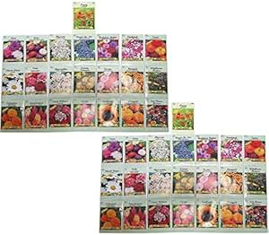 Amazon.com : Set of 44 Valley Green Flower Seed Packets! Flower Seeds ...