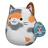 Squishmallows 8-Inch Tahoe Tortoiseshell Cat - Little Ultrasoft ...
