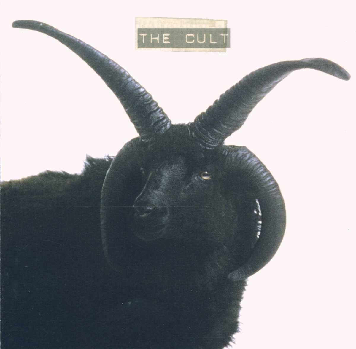The Cult: Amazon.co.uk: Music