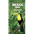 Mexico Birds: A Folding Pocket Guide to Familiar Species (Nature ...