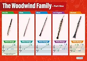 Amazon.com : Woodwind Instruments (1) | Music Posters | Gloss Paper ...