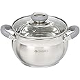 Amazon.com: Daniks Modern Stainless Steel 2 Quart Pot with Glass Lid ...