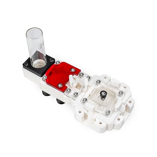 Ant Dimension Ant Colony Starter Kit - Professional Formicarium for ...