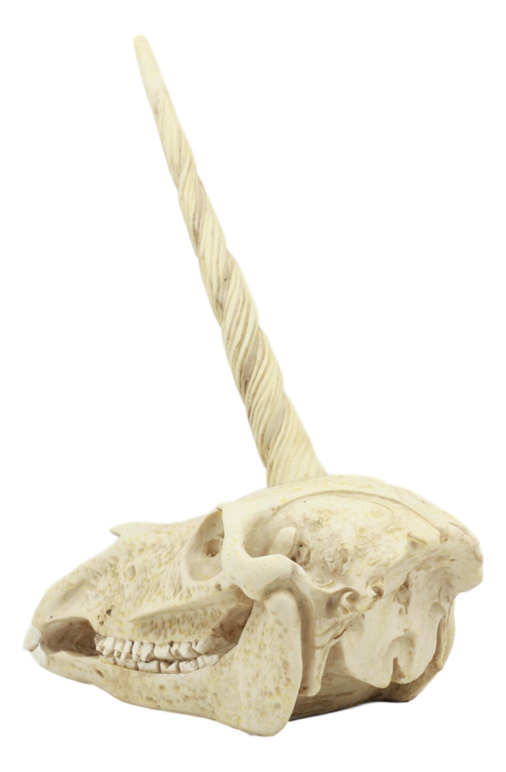 Ebros Ancient Fossil Unicorn Skull Statue Rare Mythical Creature ...