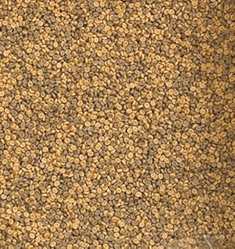 Amazon.com: Children's Factory Sand Colored Pellets for Sand and Water ...