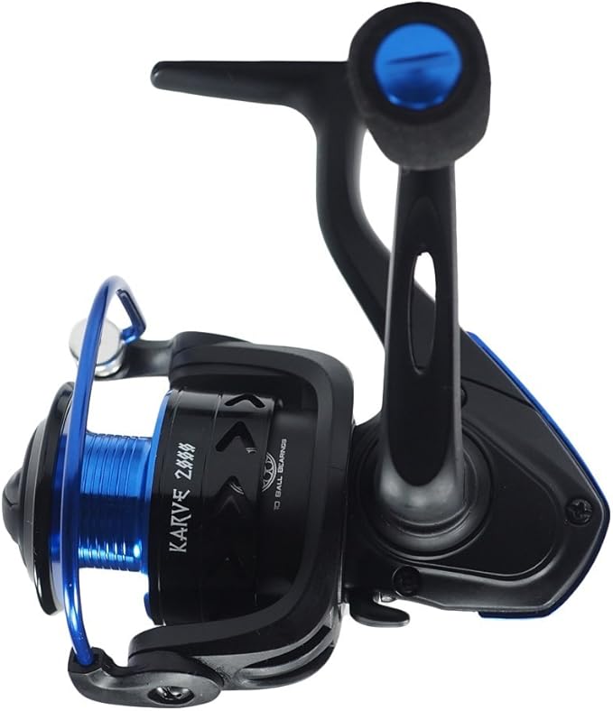 Amazon.com : Spinning Fishing Reel 500 1000 2000 3000 Sixgill Fishing ...