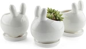 Amazon.com : T4U Ceramic Pot White, Rabbit Planter Succulent Plant ...