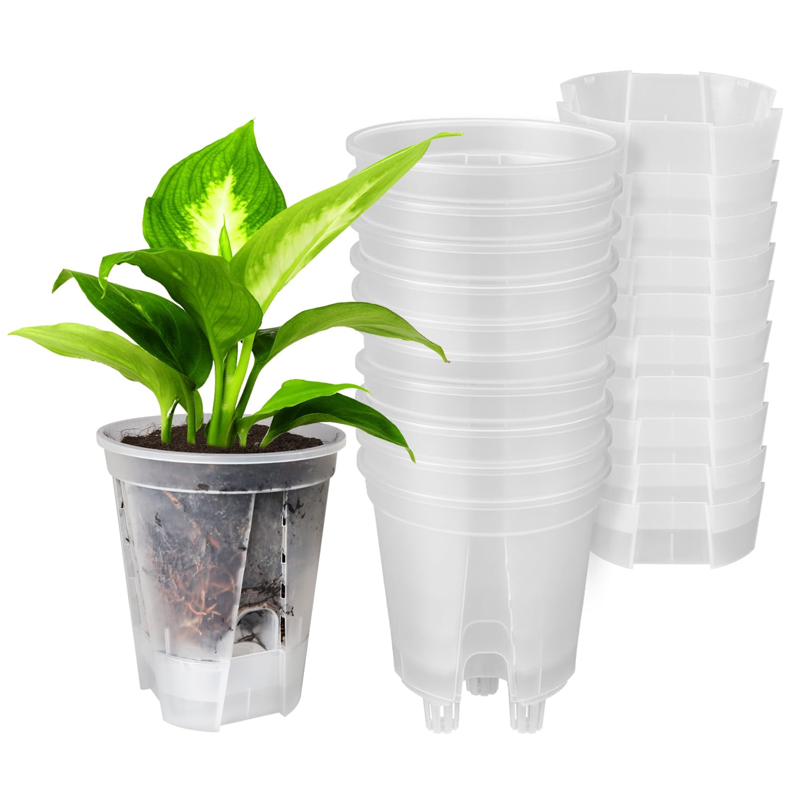 GREENPARA 5 inch Transparent Plastic Garden Pots Self Watering Planters ...