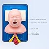 HEALTHIBLE Tracheal Intubation Infant Model - Oral/Nasal Intubation ...