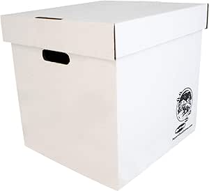 Amazon.com: 12" Vinyl Record Storage Box - Sturdy Cardboard with ...