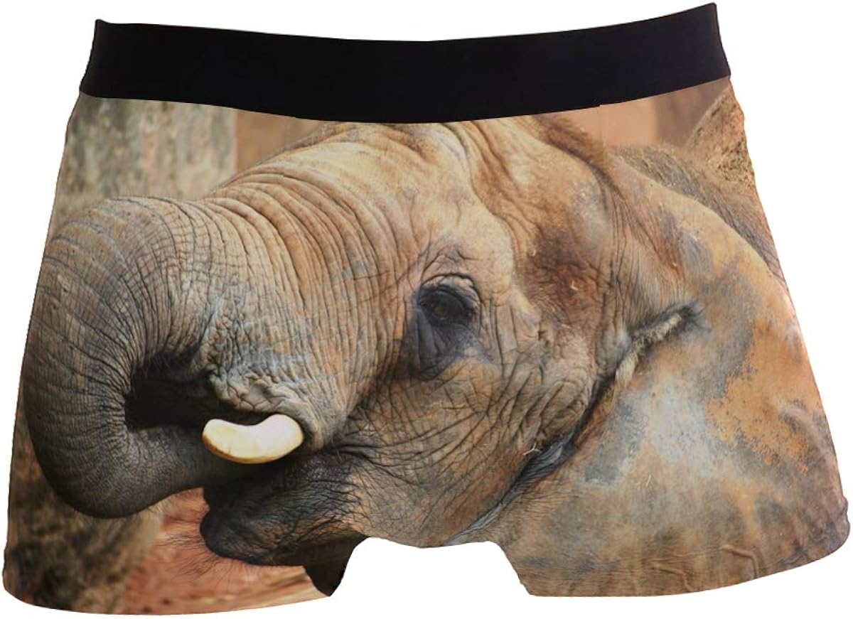 Calzoncillos Tipo bóxer para Hombre, con diseño de Elefante Africano y ...