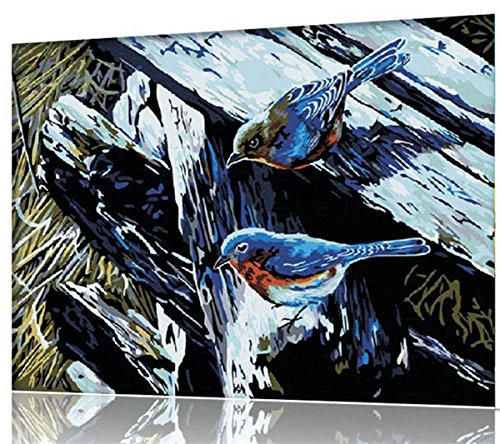 Bird Paint By Number Kits • Paint By Number For Adults