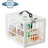 Amazon.com: Fridge Safe Box Locker: Kitchen & Dining