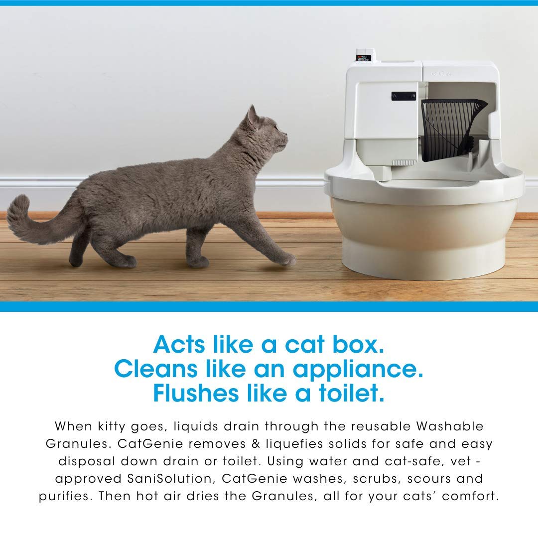 Mua CatGenie A.I. Self-Cleaning, Fully-Flushing, Self-Scooping ...