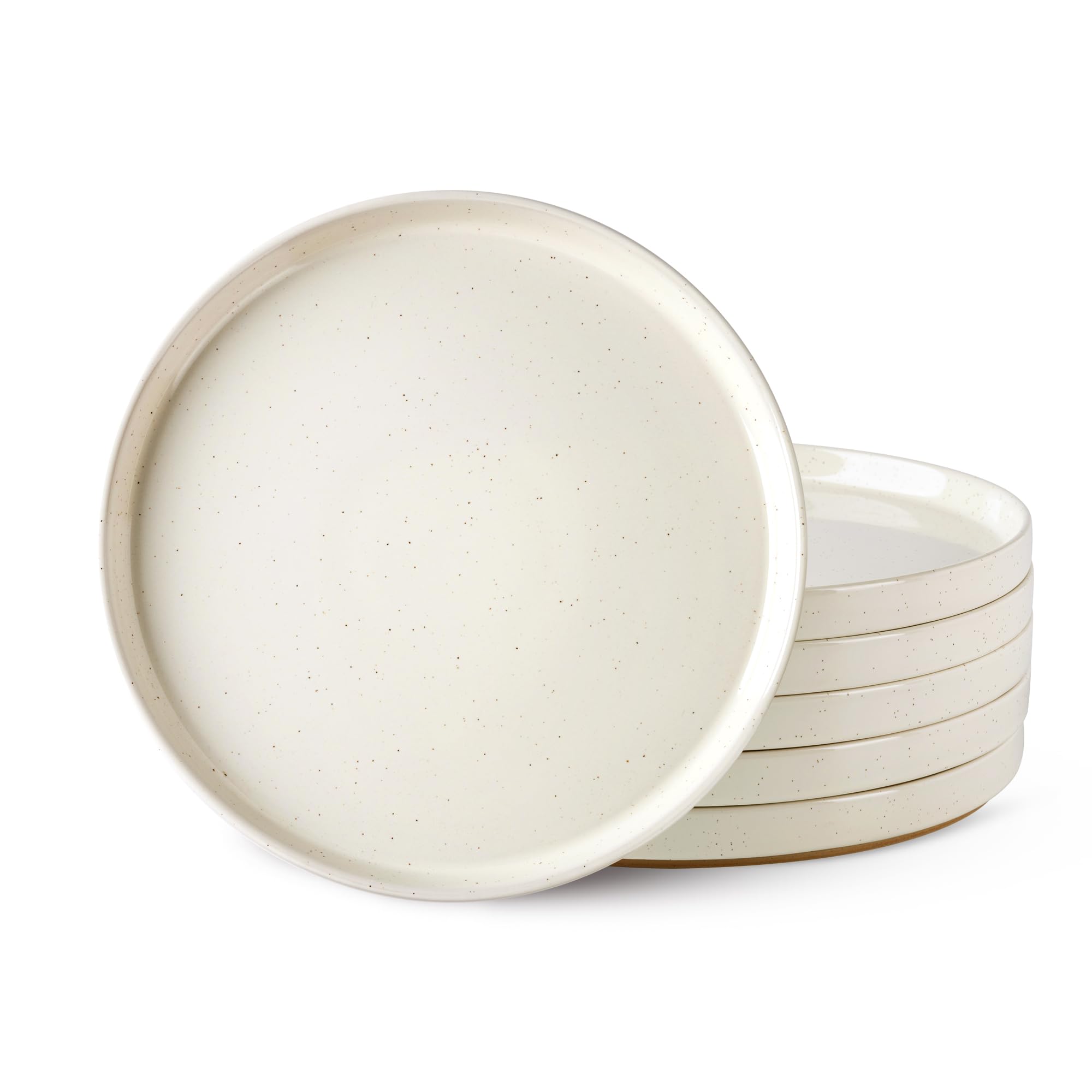 AmorArc Ceramic Dinner Plates Set of 6, 10.25 Inch Stoneware Plates for ...