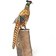 Amazon.com: HANSA Pheasant Soft Toy Bird, 12-inch Height, Multicolor ...