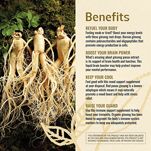 Ginseng Liquid Extract - Korean Red Ginseng Drops - Panax Ginseng Root ...