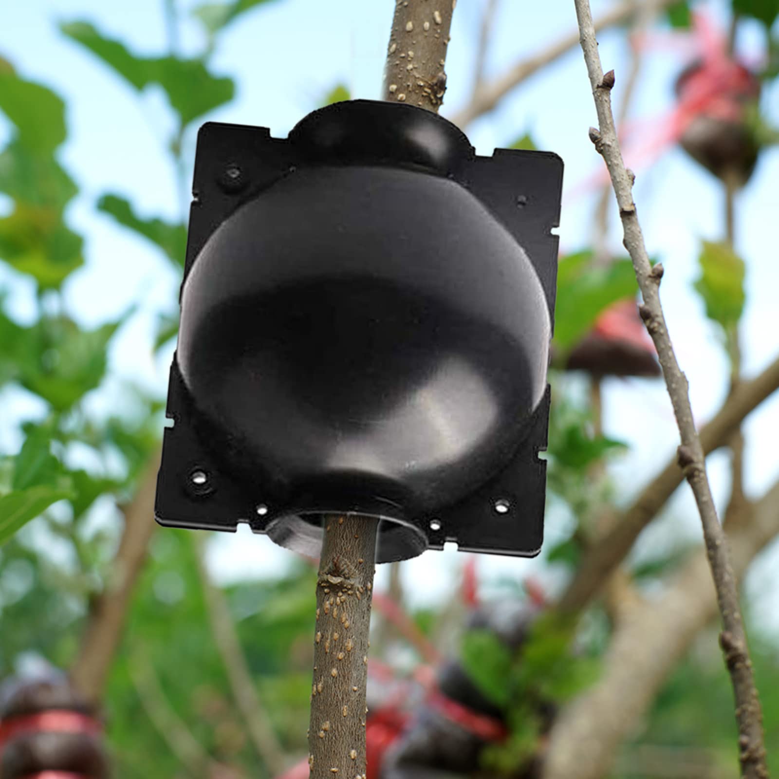 Mua 12 PCS Plant Root Growing Box, Reusable Air Layering Propagation ...