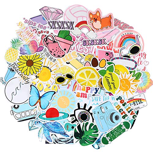 100 Pieces VSCO Stickers Colorful Vinyl Waterproof Water Bottle ...