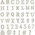 Amazon.com: 168 Pieces 1 Inch Wooden Alphabet Mini Letters with ...