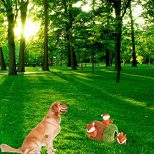 Interactive Squeaky Hide and Seek Activity Fox Dog Toy, Stuffing ...