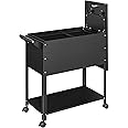 Amazon.com: ZAOUS Mobile File Cabinet, 2 Tier File Cart with Wheels ...