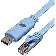 Amazon.com: DSD TECH SH-RJ45K USB to RS485 Serial Cable with RJ45 ...