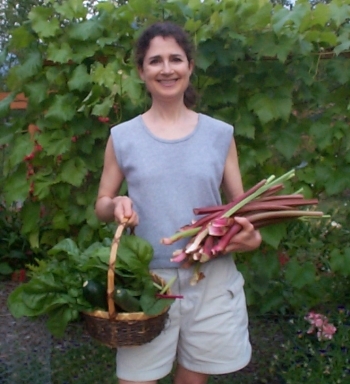 It Only Takes Once (A Village of Ballydara Novel Book 1) eBook: Browne ...