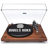 Amazon.com: ANGELS HORN Vinyl Record Player, Hi-Fi System Bluetooth ...