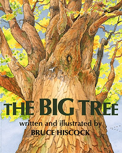 15 Terrific Picture Books About Trees for Preschoolers