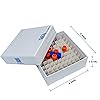 CryoKing 2 Inch Height 81-well Lab Freezer Boxes Superior Cardboard ...